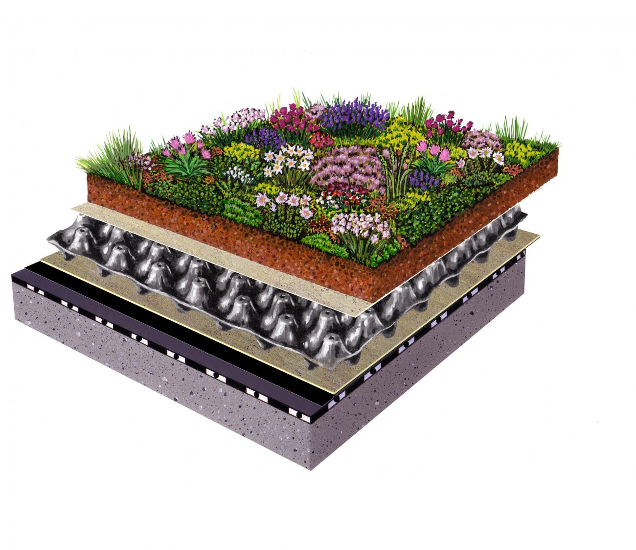 Green roofing with system | ZinCo Green Roof Systems
