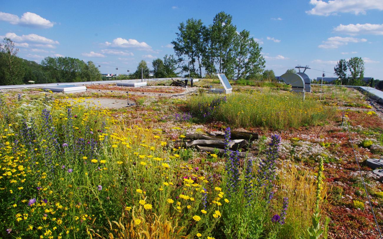 Extensive Green Roofs ZinCo Green Roof Systems extensive-green-roofs-zinco-green-roof-systems
