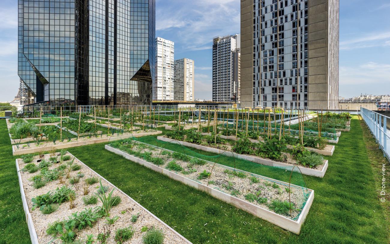 Intensive Green Roofs | ZinCo Green Roof Systems
