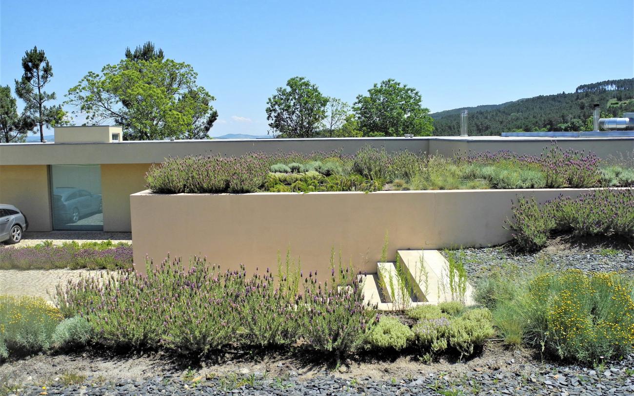 Intensive Green Roofs | ZinCo Green Roof Systems