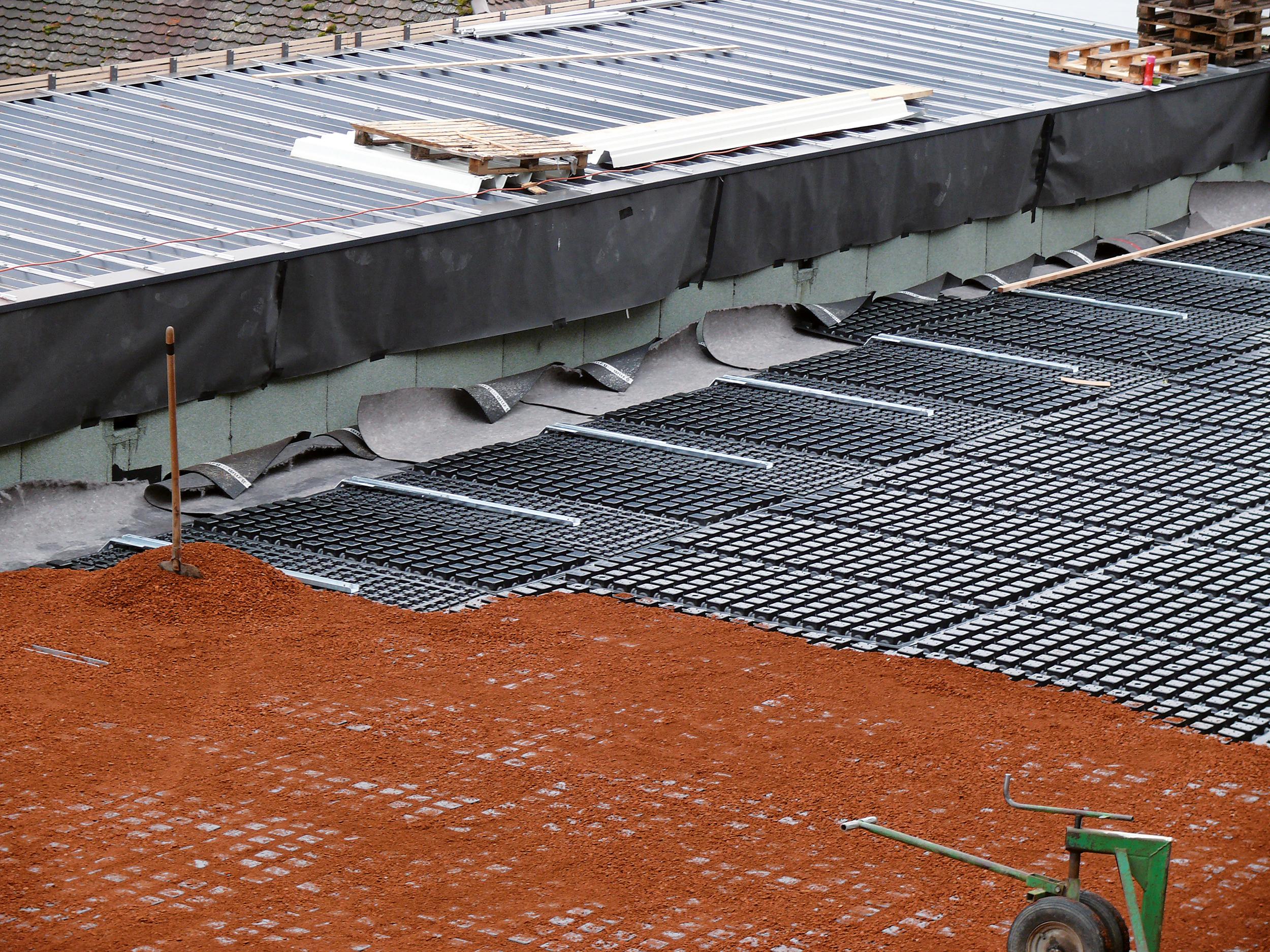 View from a roof garden – the “Comturey-Keller” restaurant on Mainau ...