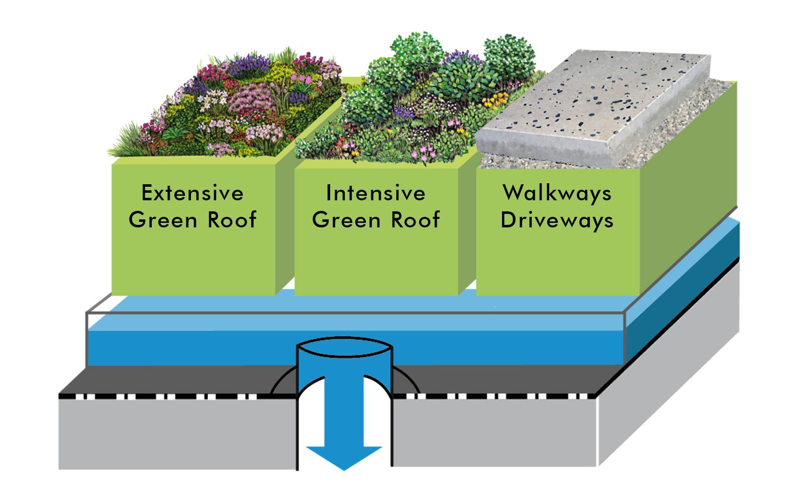 On the roof: Water stored and evaporated | ZinCo Green Roof Systems