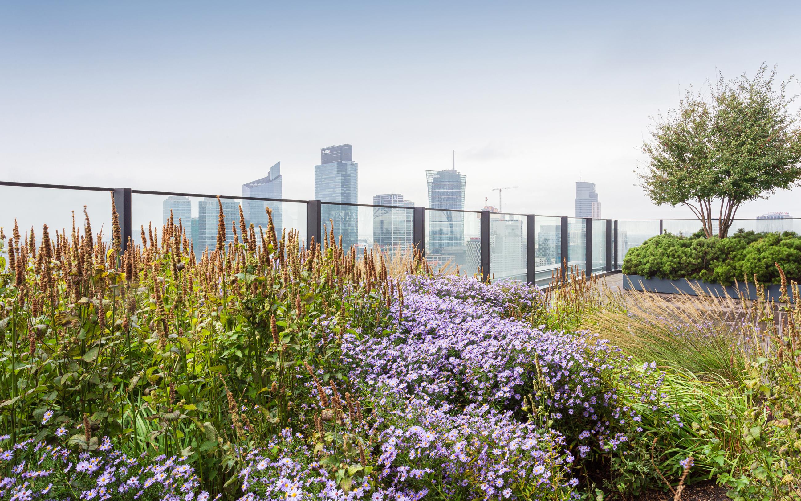 Greenery enriches urban life | ZinCo Green Roof Systems