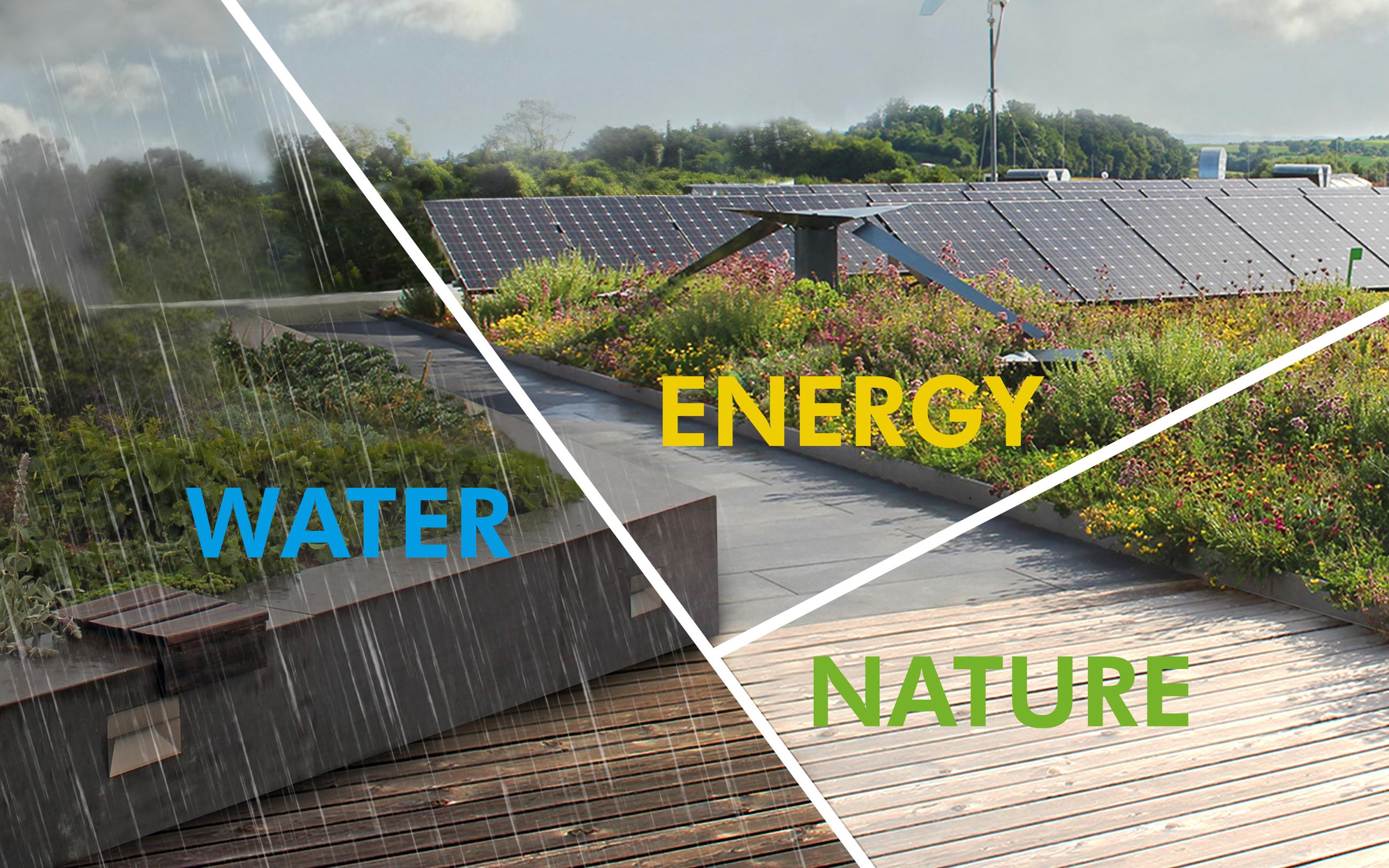Green roofs worldwide and their many facets | ZinCo Green Roof Systems