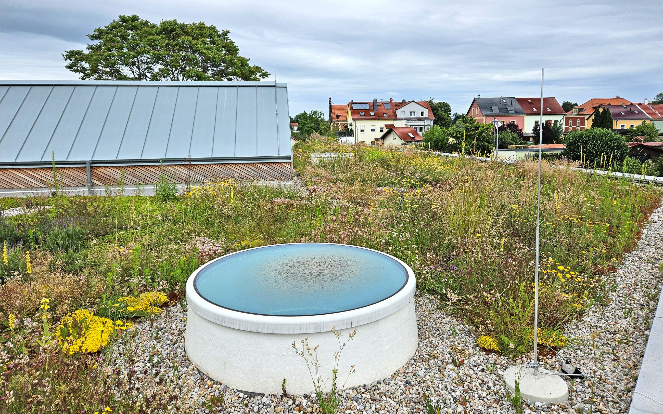 Exemplary biodiverse green roof | ZinCo Green Roof Systems
