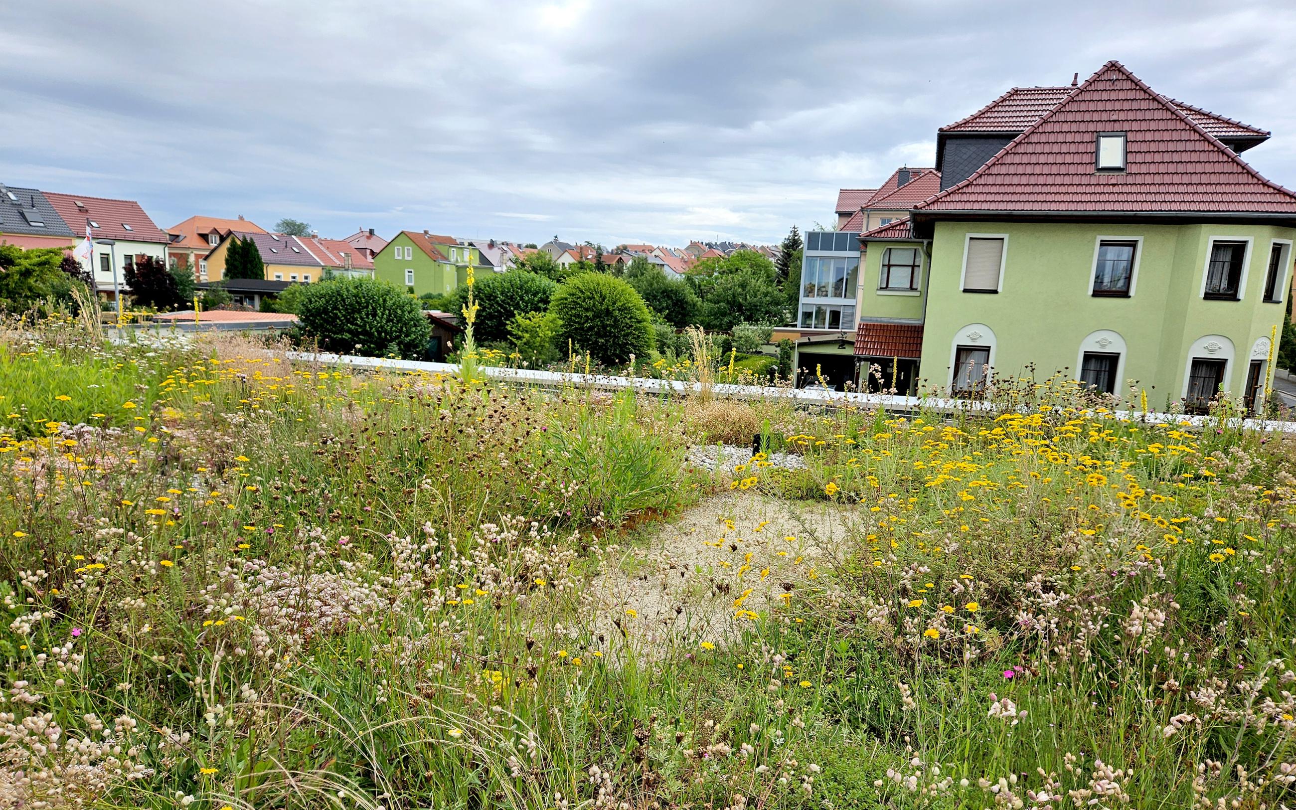 Exemplary biodiverse green roof | ZinCo Green Roof Systems