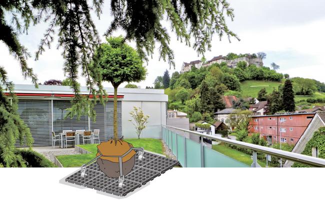 Anchoring Trees Securely on Roofs | ZinCo Green Roof Systems