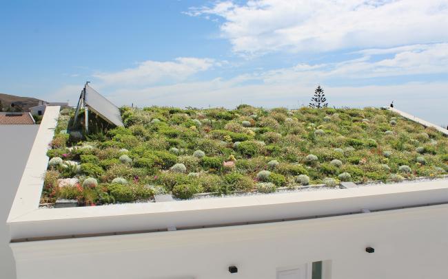 Extensive Green Roofs | ZinCo Green Roof Systems